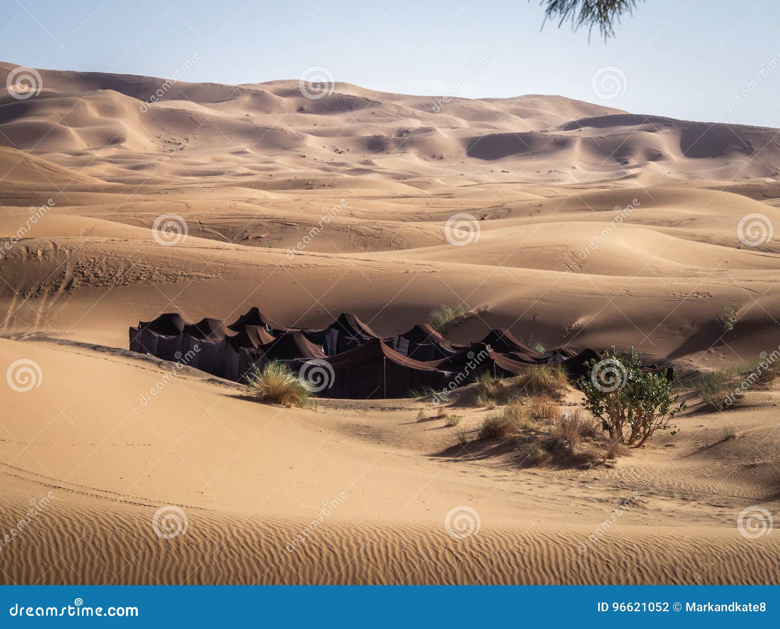 Berber Camp in the Sahara Desert Morocco Stock Photo - Image of berber ...