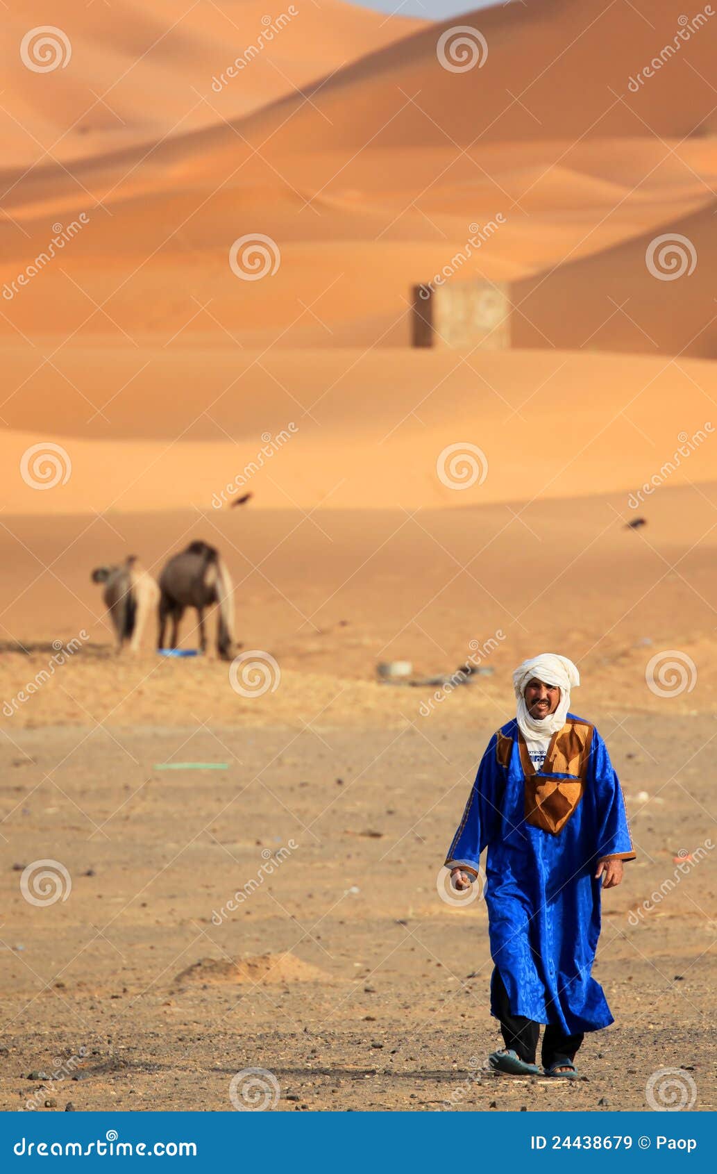 Berber guide editorial stock image. Image of animals - 24438679