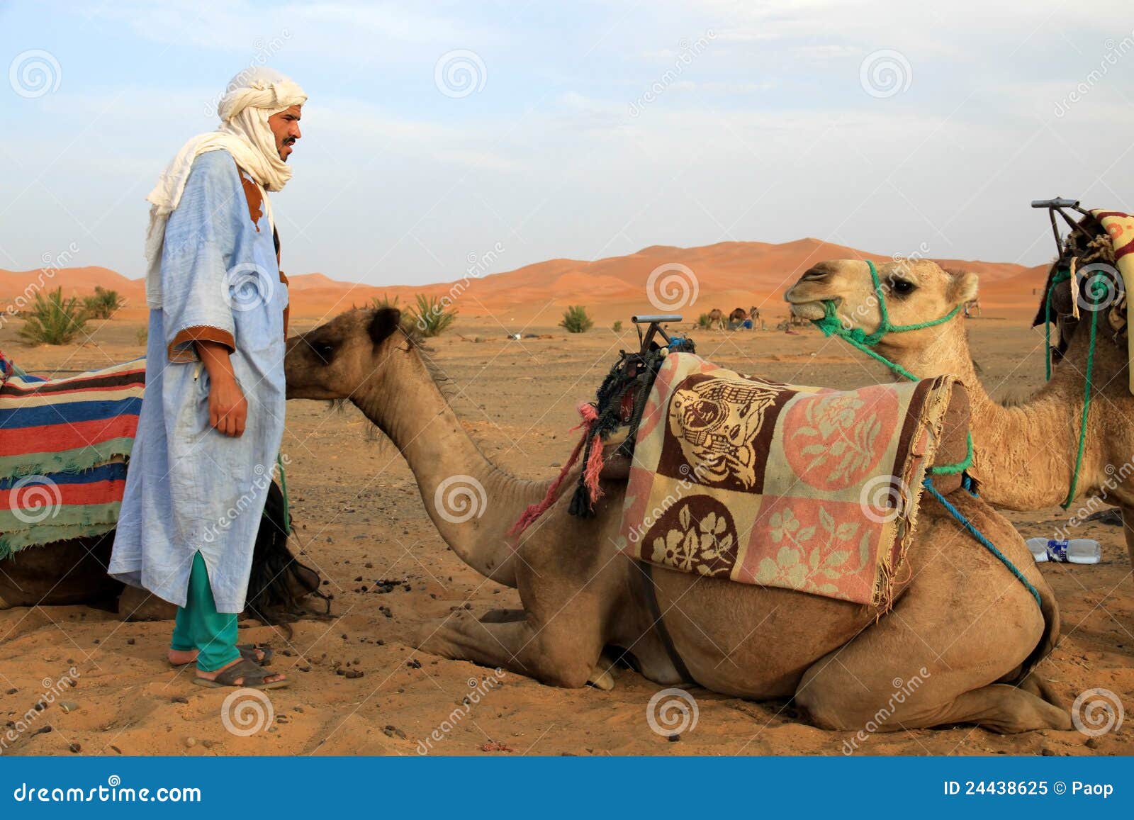 Berber Guide and His Camels Editorial Image - Image of camels, dried ...