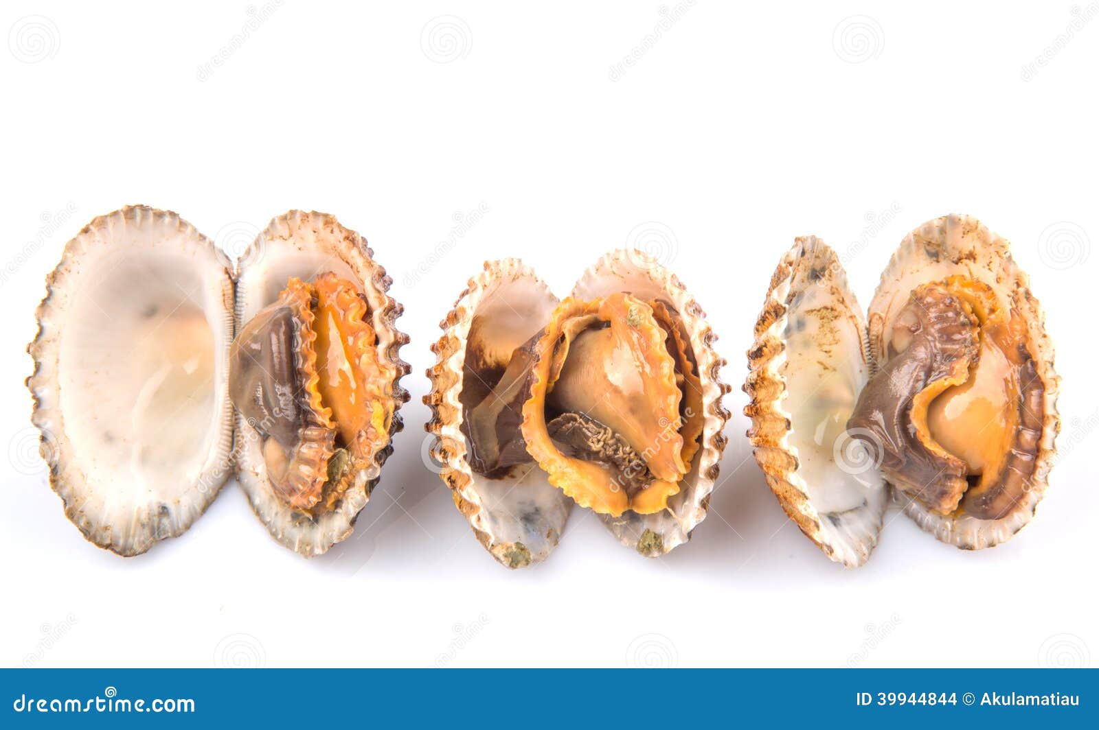 Berbigão cru V foto de stock. Imagem de nave, fresco - 39944844