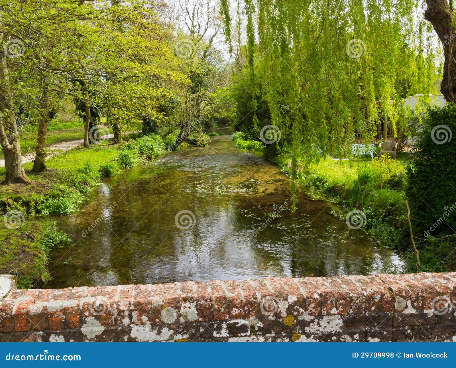 Shitterton Dorset stock photo. Image of riverside, dorset - 29709998