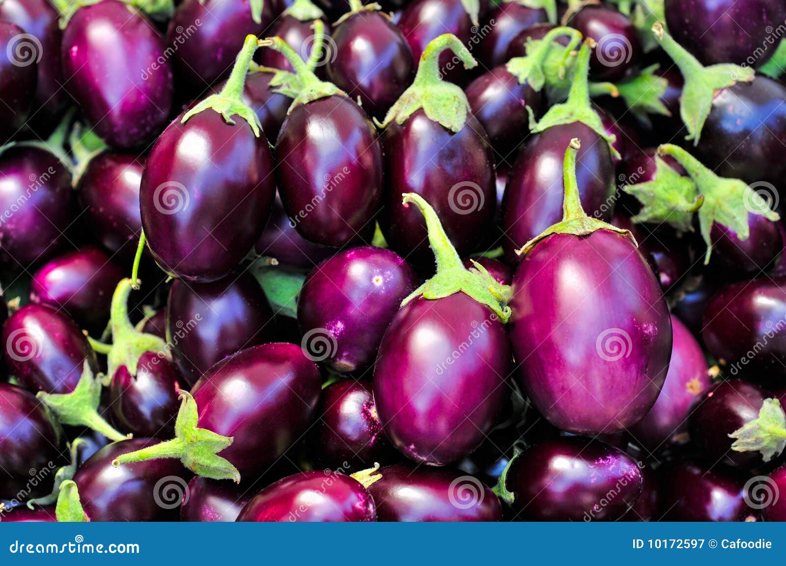 Berenjena india imagen de archivo. Imagen de crudo, fresco - 10172597