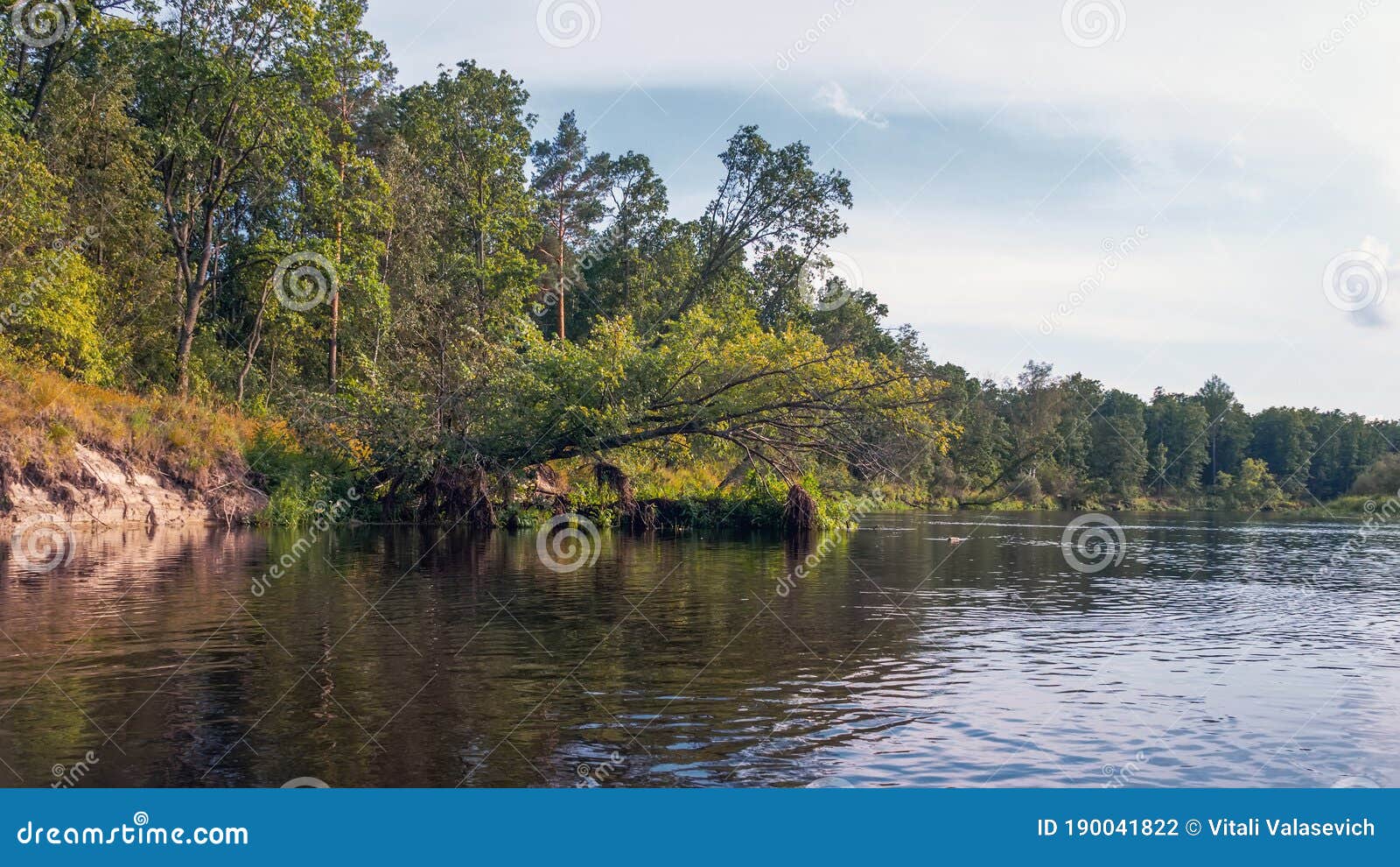 The Berezina River. Belarus Stock Photo - Image of field, belarus ...