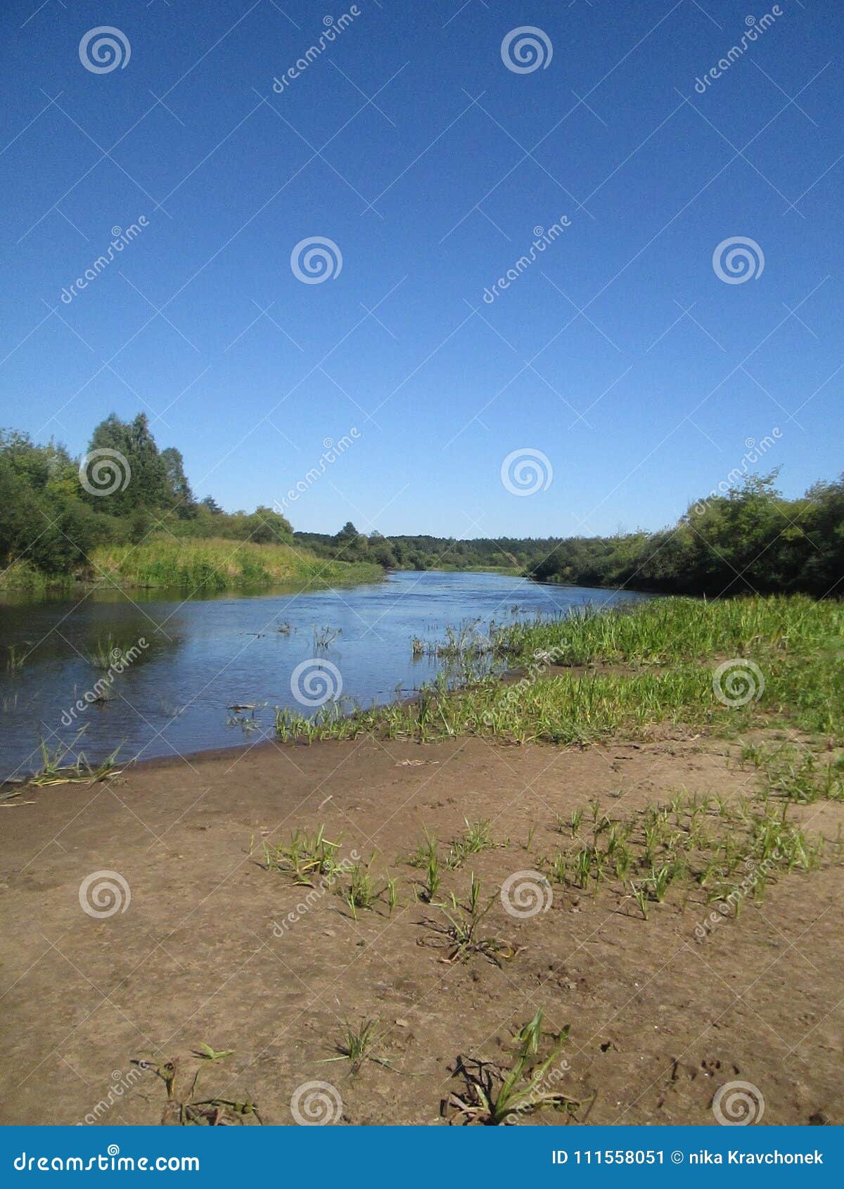 Berezina stock image. Image of grass, sand, river, berezina - 111558051