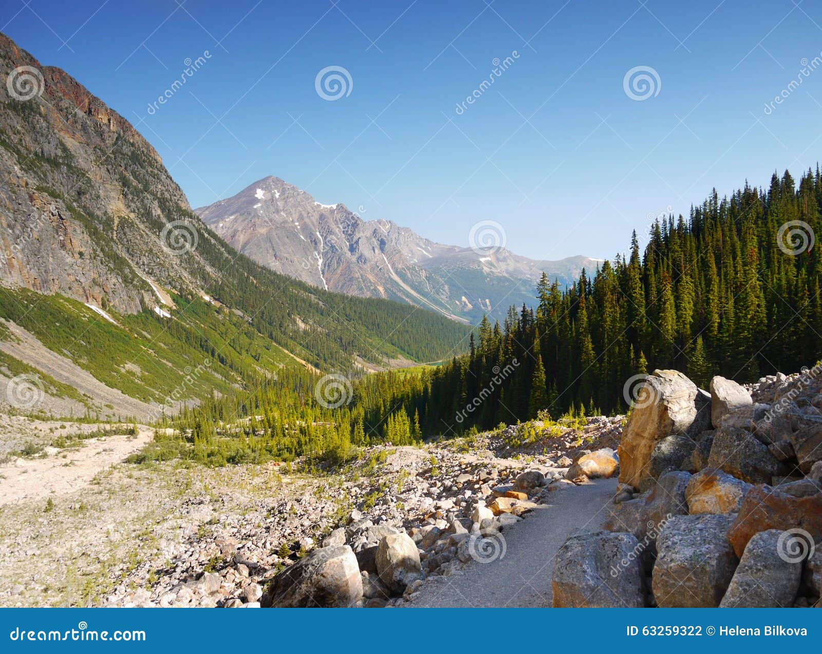 Berg Edith Cavell Trail stockfoto. Bild von kanada, nave - 63259322