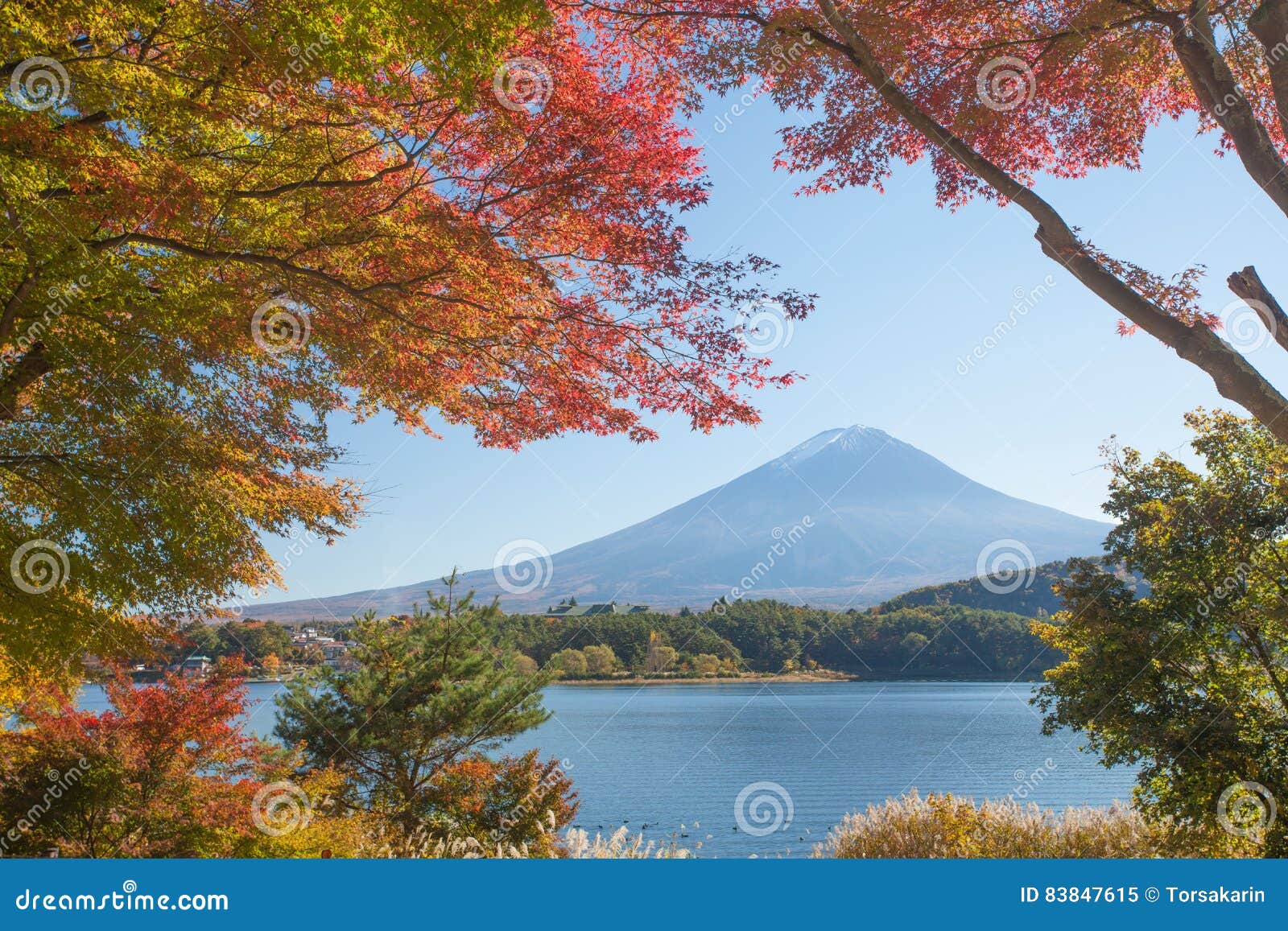 Berg Fuji stockbild. Bild von herbst, japan, montierung - 83847615