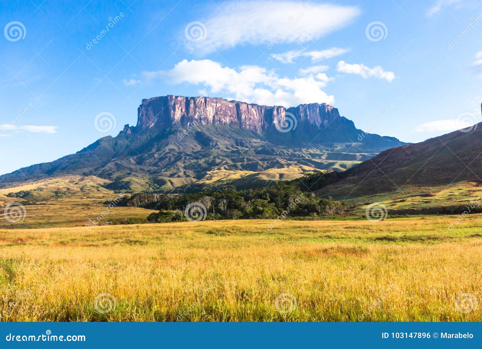 Berg Roraima stockfoto. Bild von eingebürgert, reise - 103147896