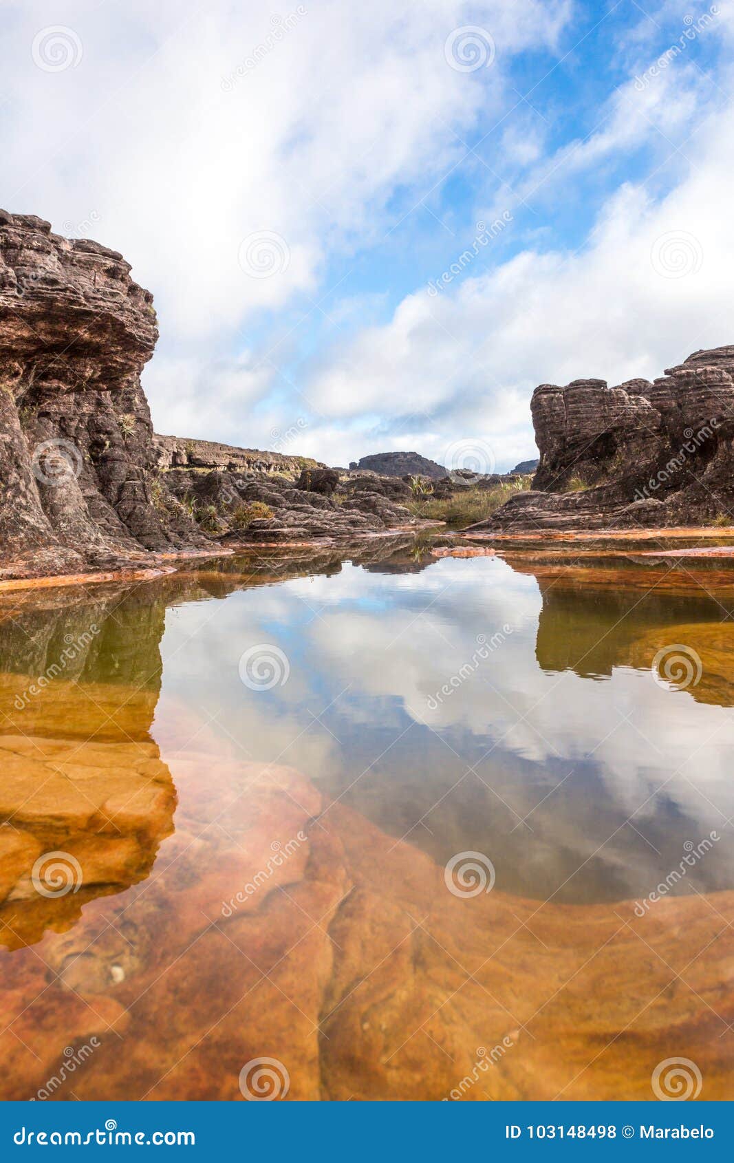Berg Roraima-Jacuzzi Venezuela Stockfoto - Bild von eingebürgert ...