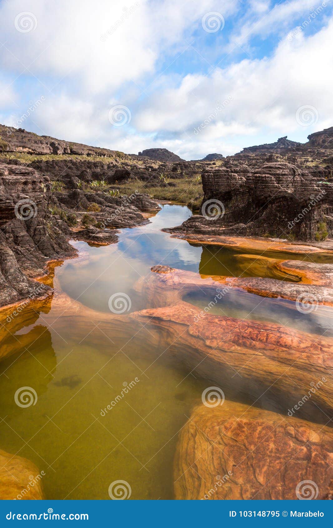 Berg Roraima-Jacuzzi Venezuela Stockbild - Bild von trekking, savanne ...