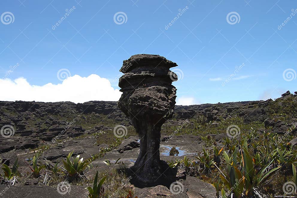 Berg Roraima - Venezuela stockfoto. Bild von tourismus - 90068422