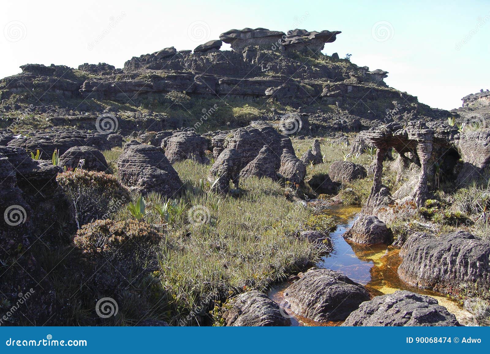 Berg Roraima - Venezuela stockfoto. Bild von landschaft - 90068474