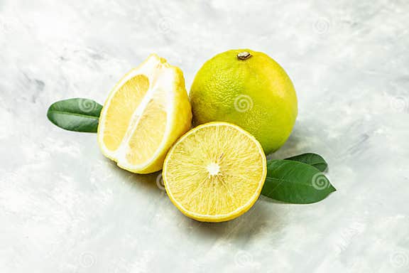Bergamot Fresh Bergamot Fruit Kaffir Lime Citrus Bergamia On A