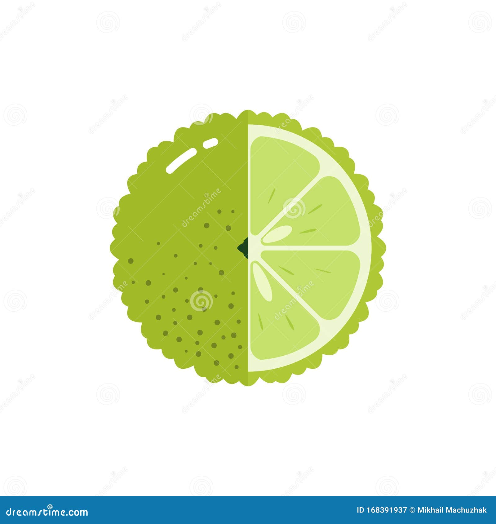 Bergamot Logo. Isolated Bergamot On White Background Vector ...