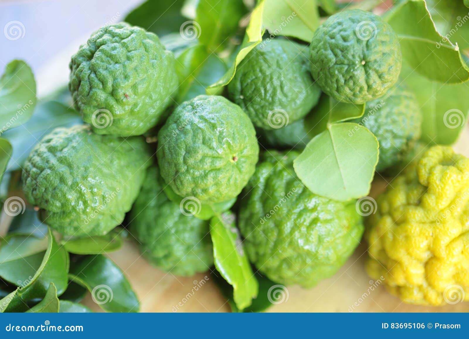 Bergamot stock photo. Image of tropical, thai, food, table - 83695106