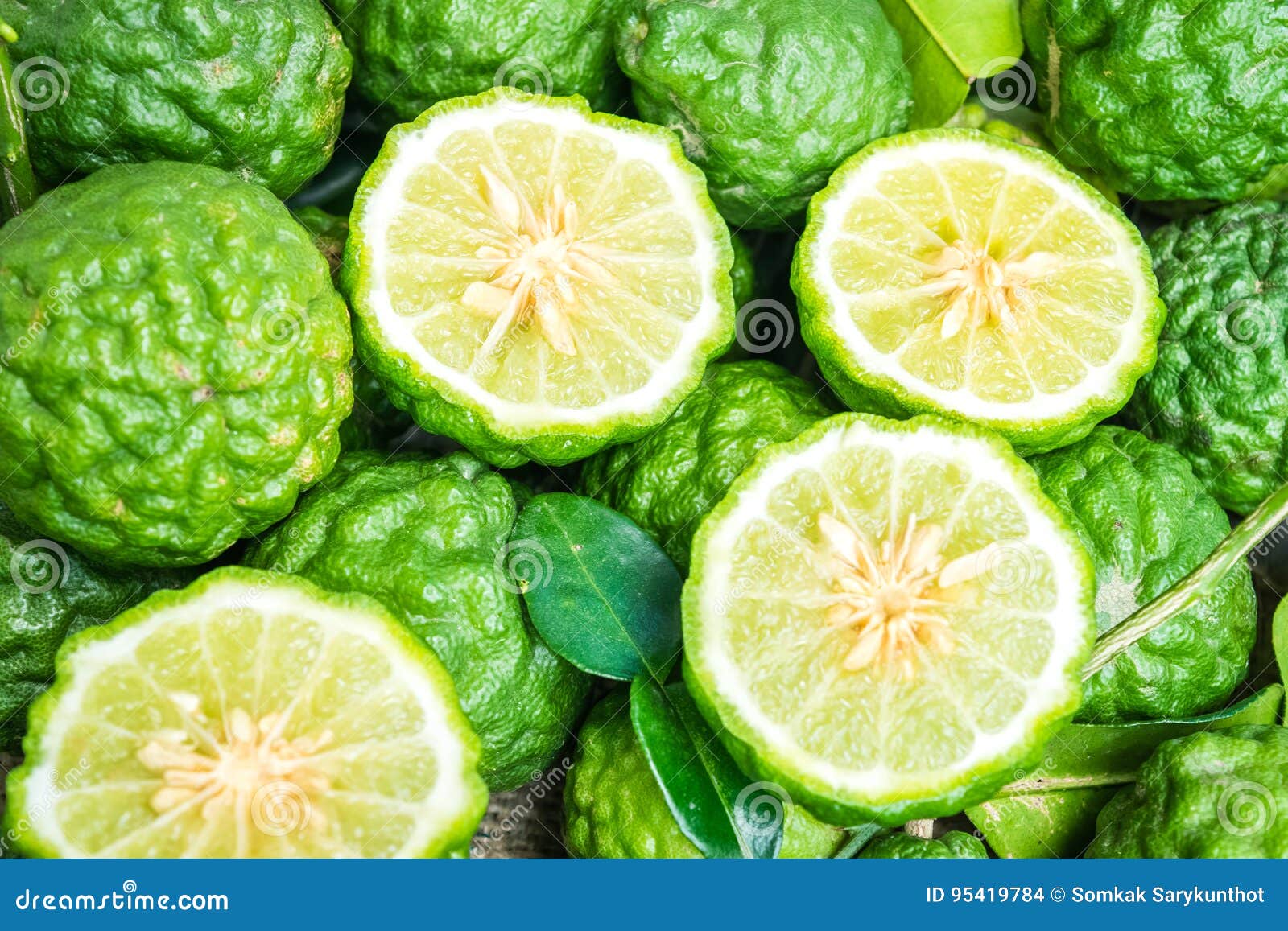 Bergamot stock photo. Image of aroma, table, natural - 95419784