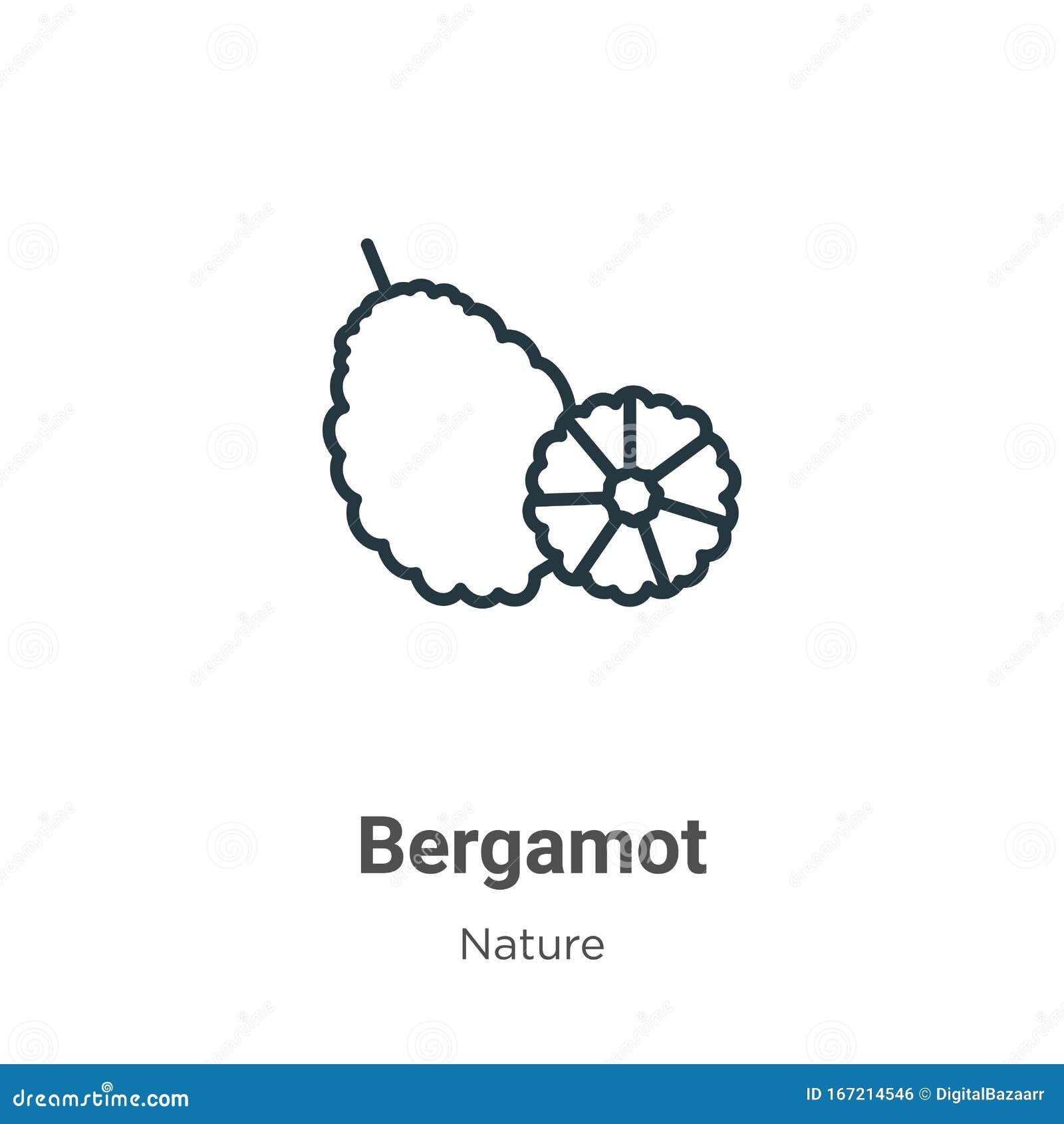 Bergamot Outline Vector Icon. Thin Line Black Bergamot Icon, Flat ...