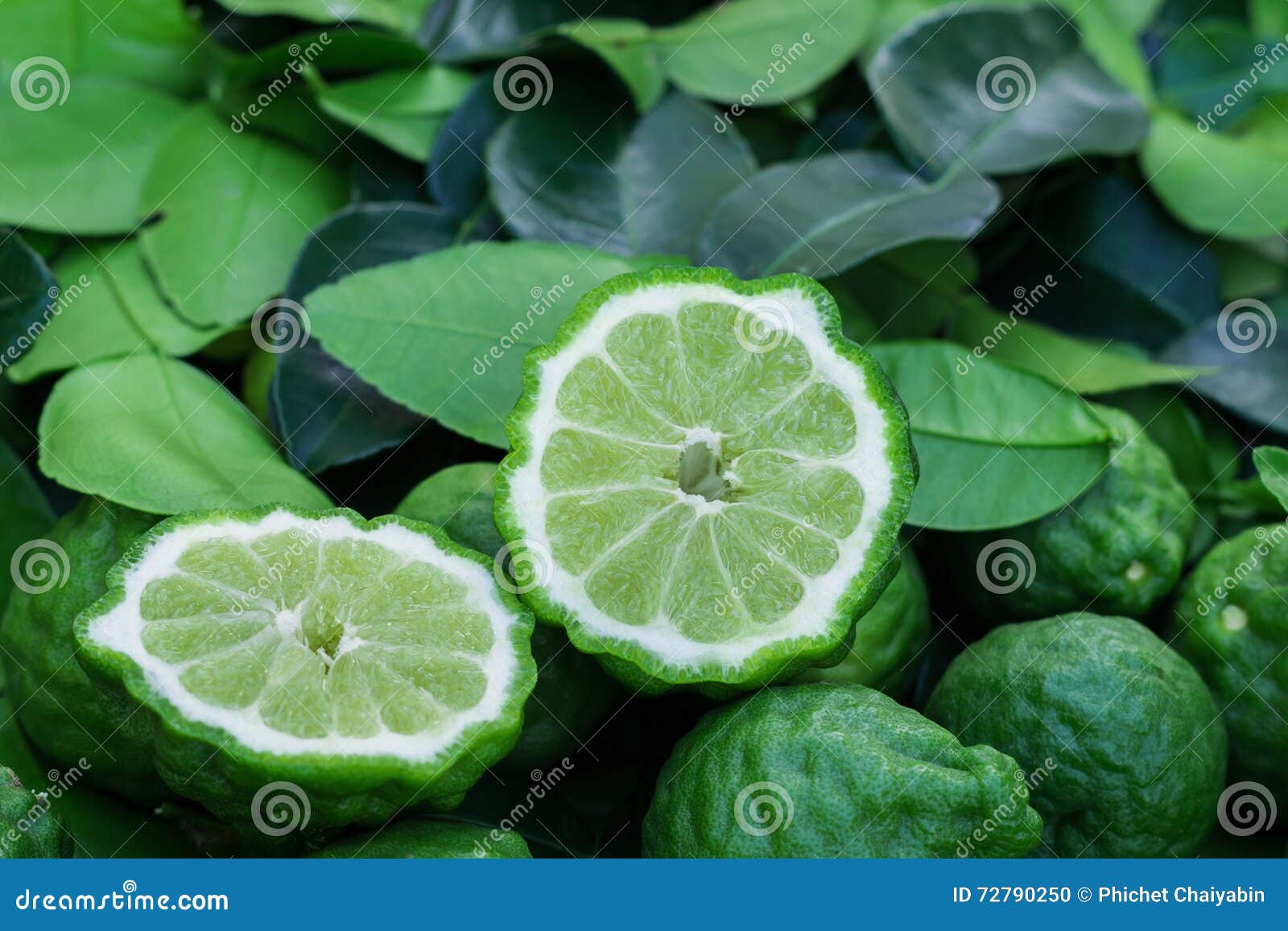 Bergamot stock photo. Image of asian, background, eating - 72790250