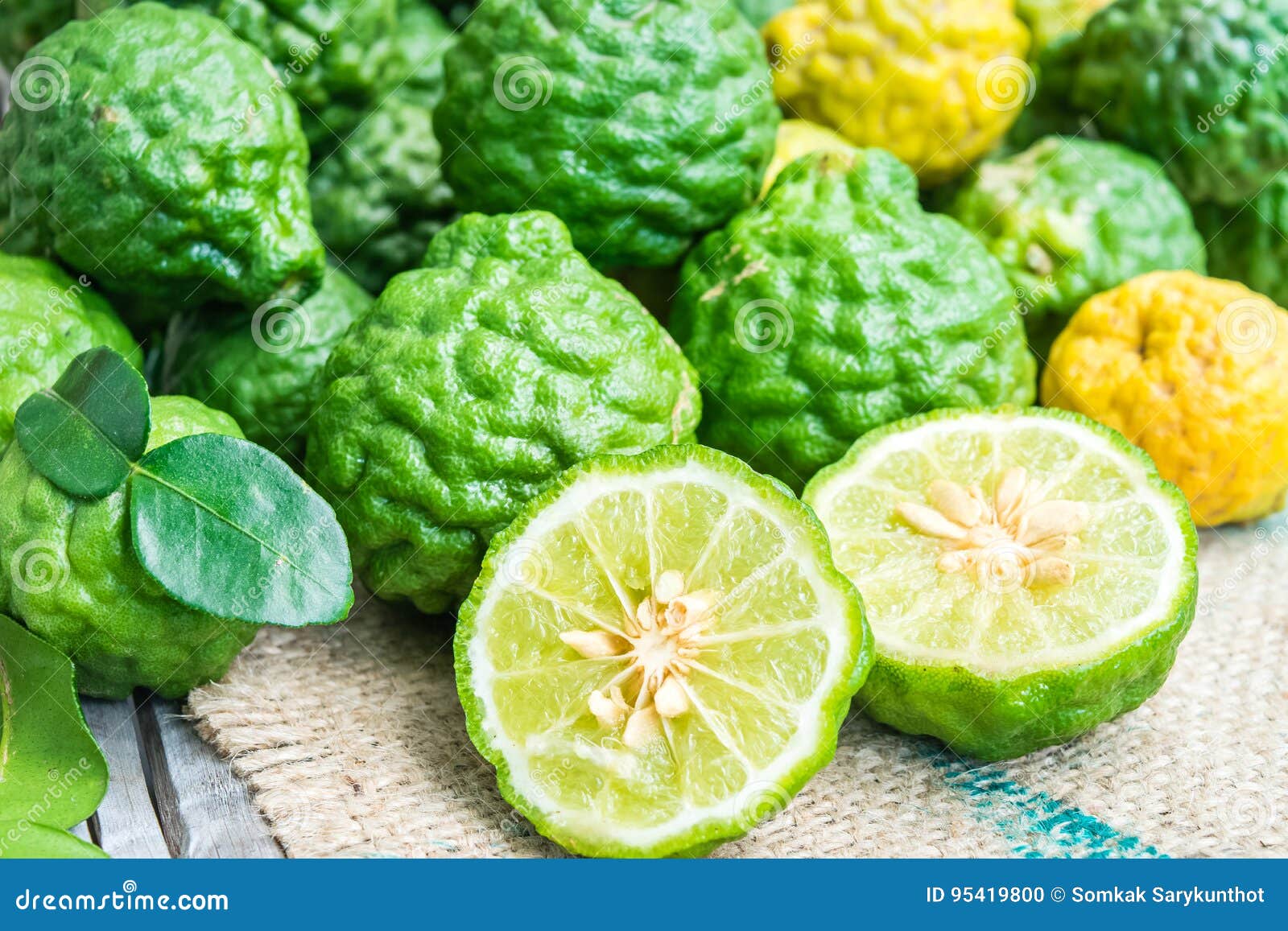 Bergamota foto de stock. Imagem de planta, fruta, tratamento - 95419800