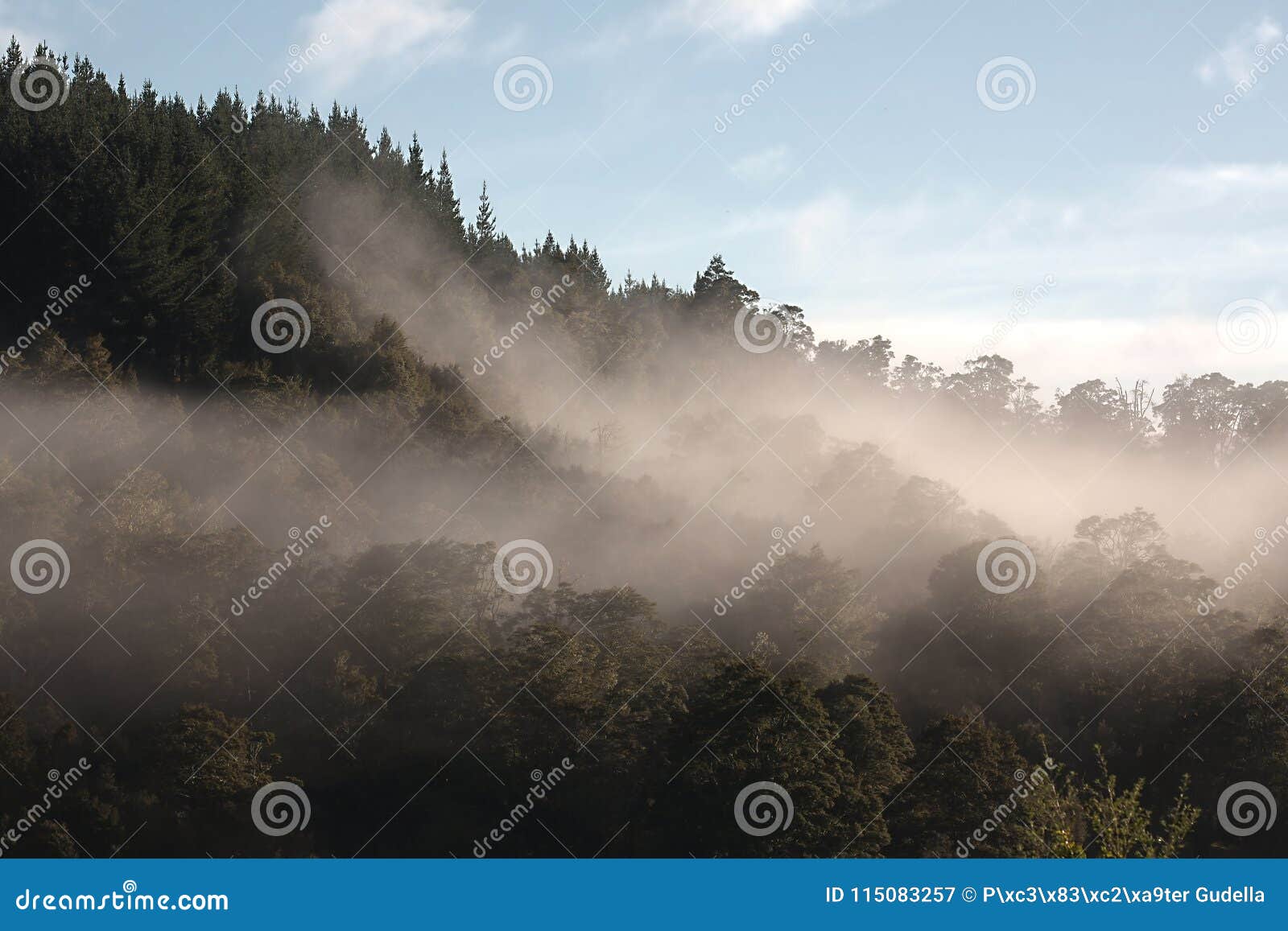 Berge im Nebel stockbild. Bild von berge, nave, tageslicht - 115083257