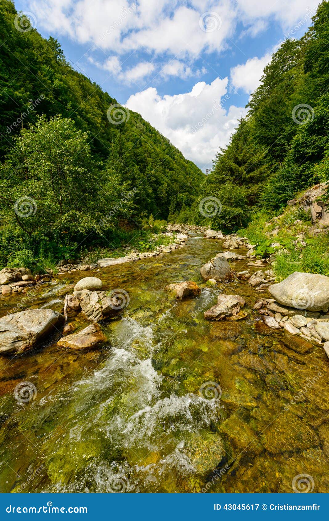 Berglandschaft Mit Einem Fluss Stockbild - Bild von ökologie, erholung ...