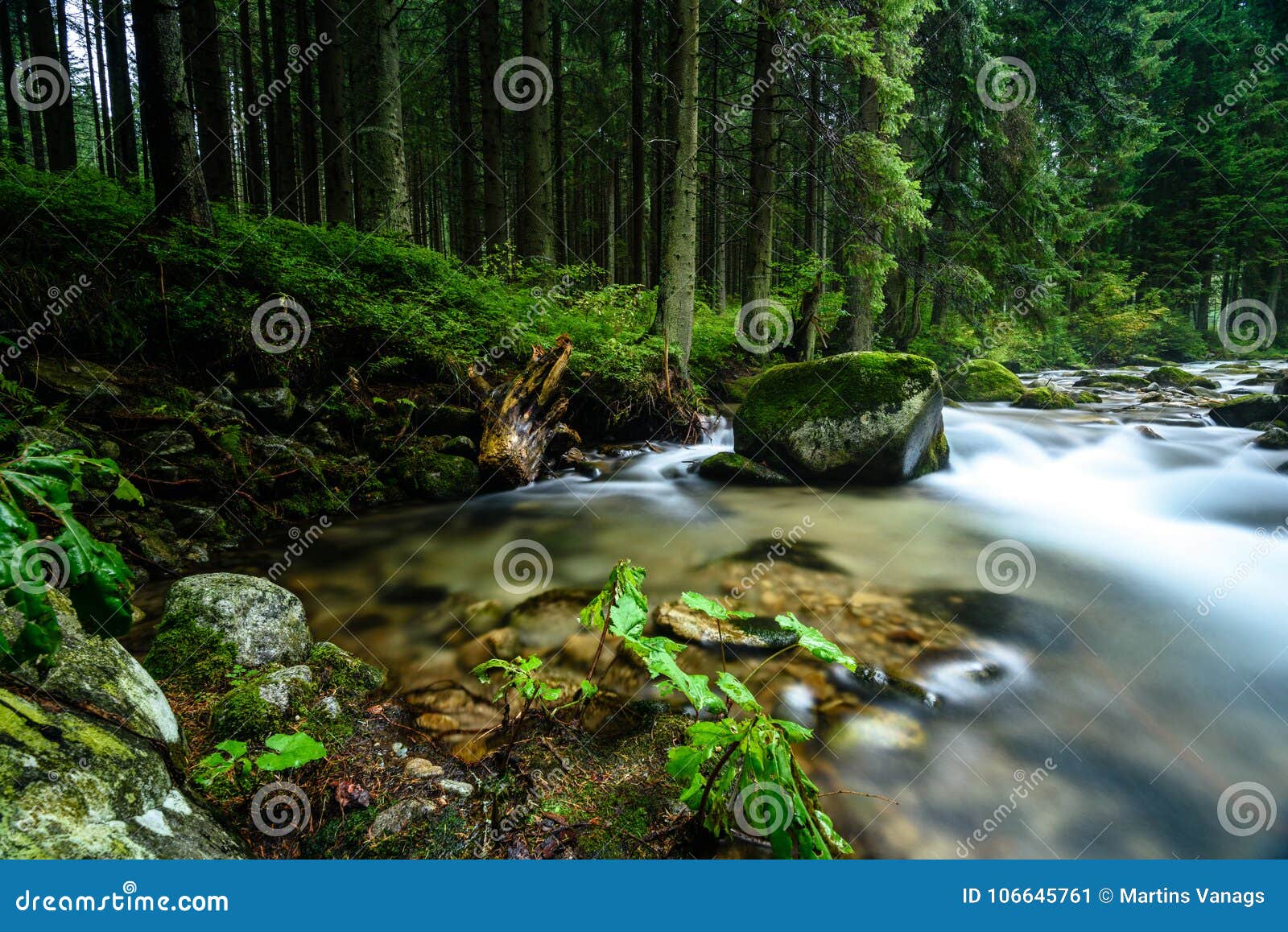Bergrivier in de zomer stock afbeelding. Image of kreek - 106645761