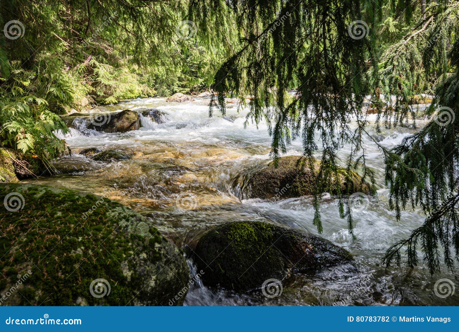 Bergrivier in de zomer stock foto. Image of mineraal - 80783782