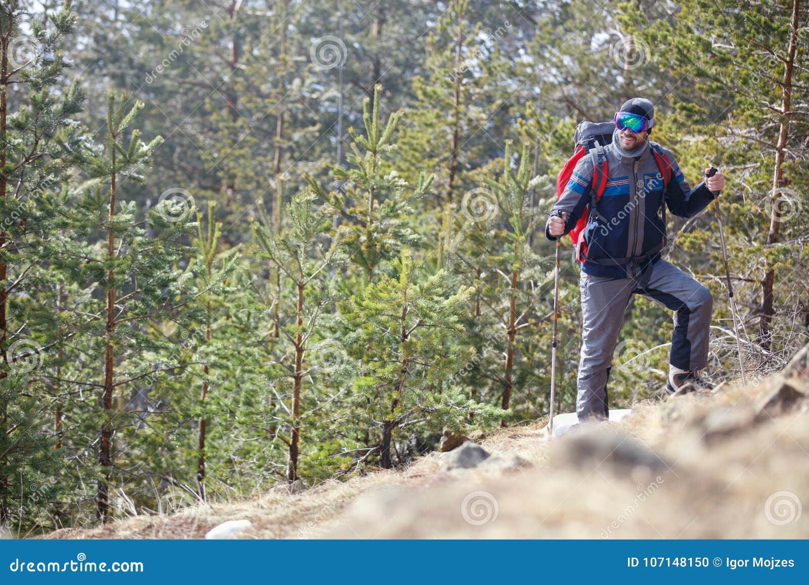 Bergsteiger Mit Pfostenbergsteigen Auf Berg Stockfoto - Bild von wald ...