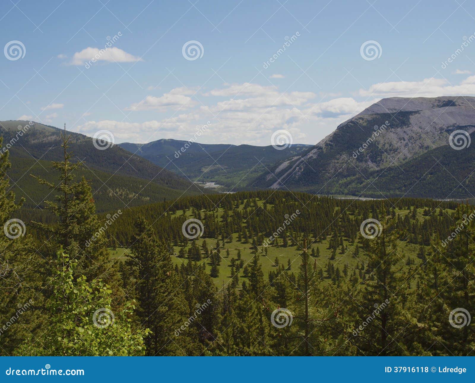 Bergvallei in de Zomer stock foto. Image of wandeling - 37916118