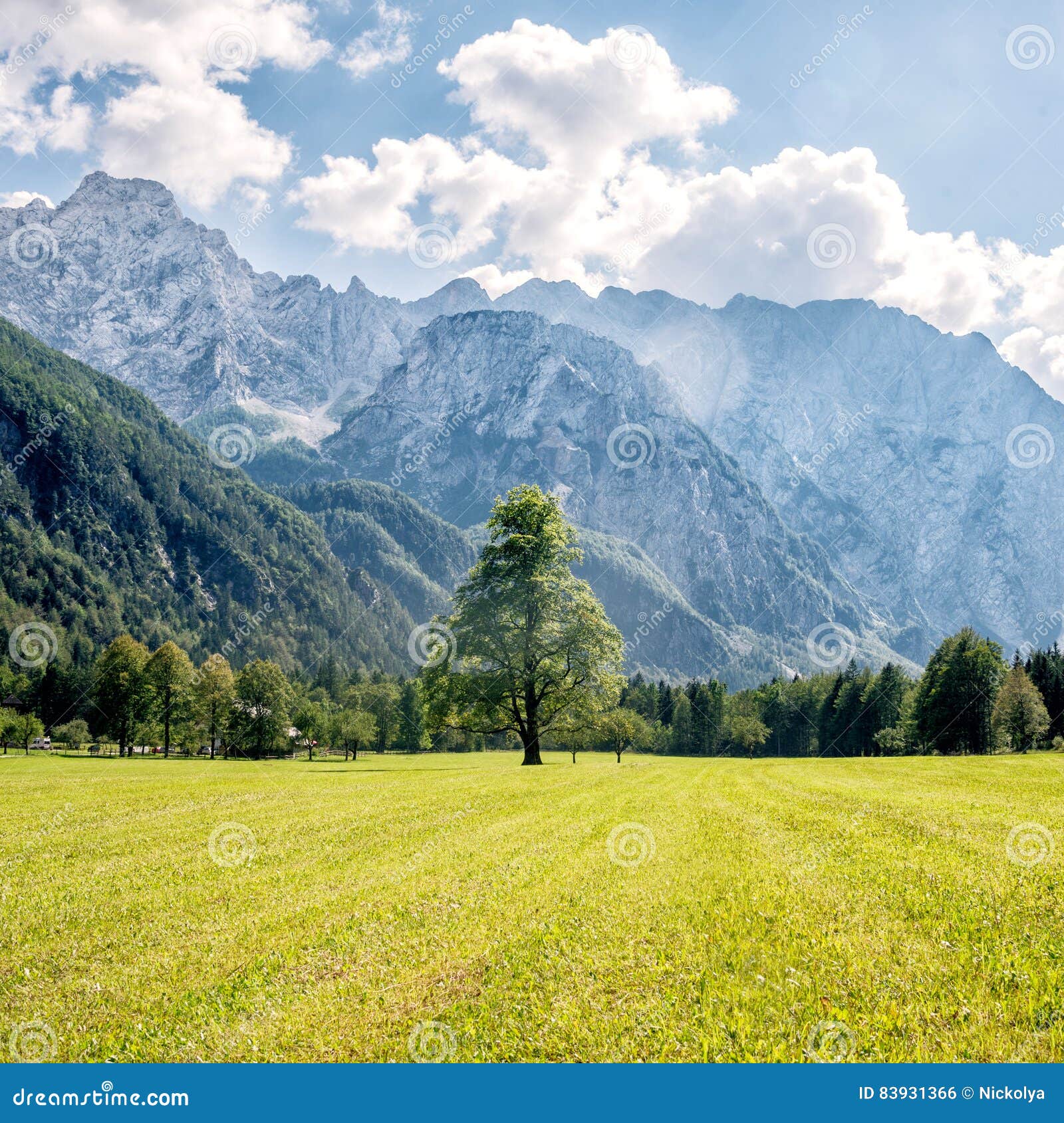 Bergvallei Met Groene Bomen Stock Foto - Image of berg, nave: 83931366