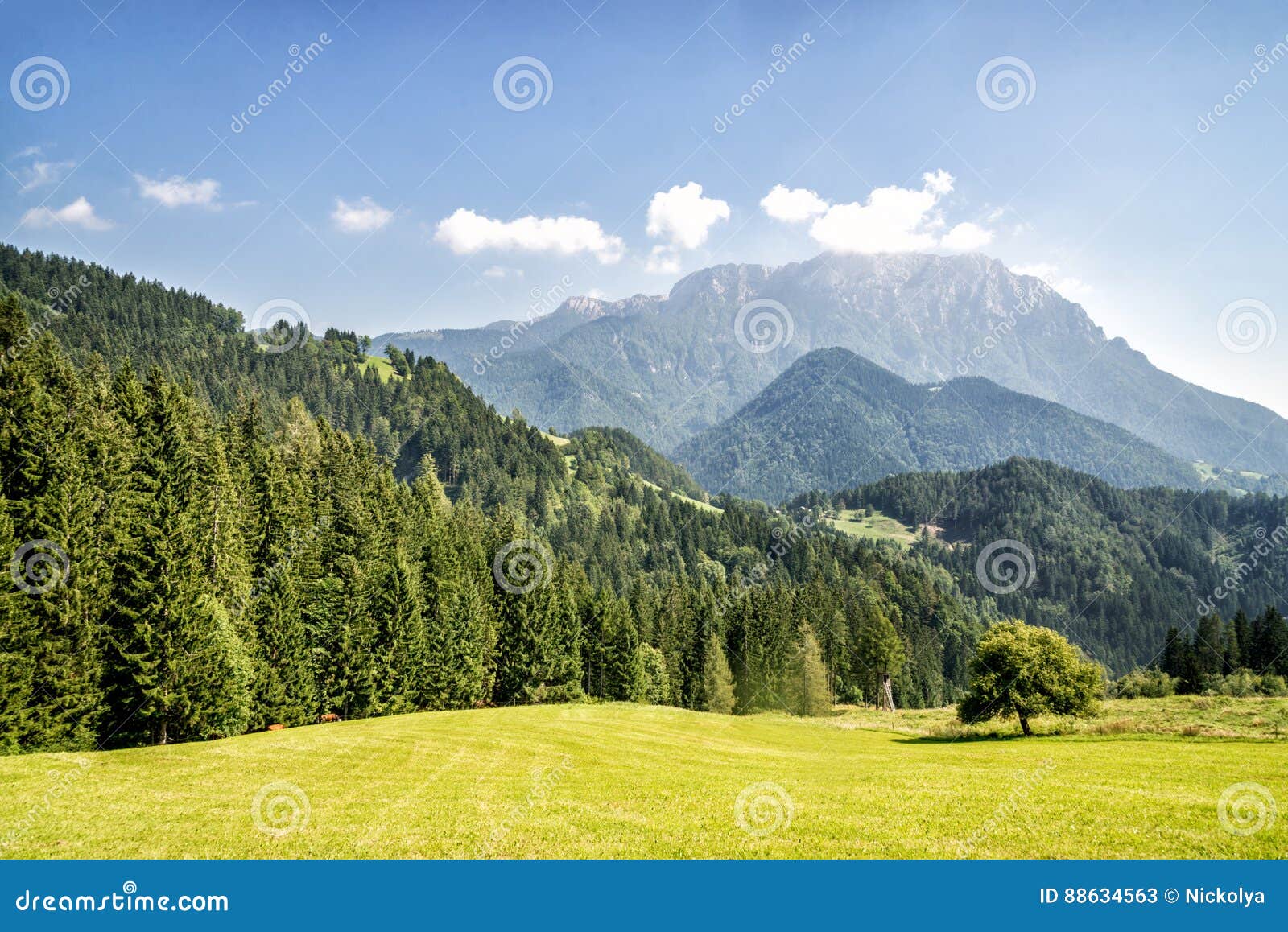 Bergvallei Met Groene Bomen Stock Afbeelding - Image of rustig ...