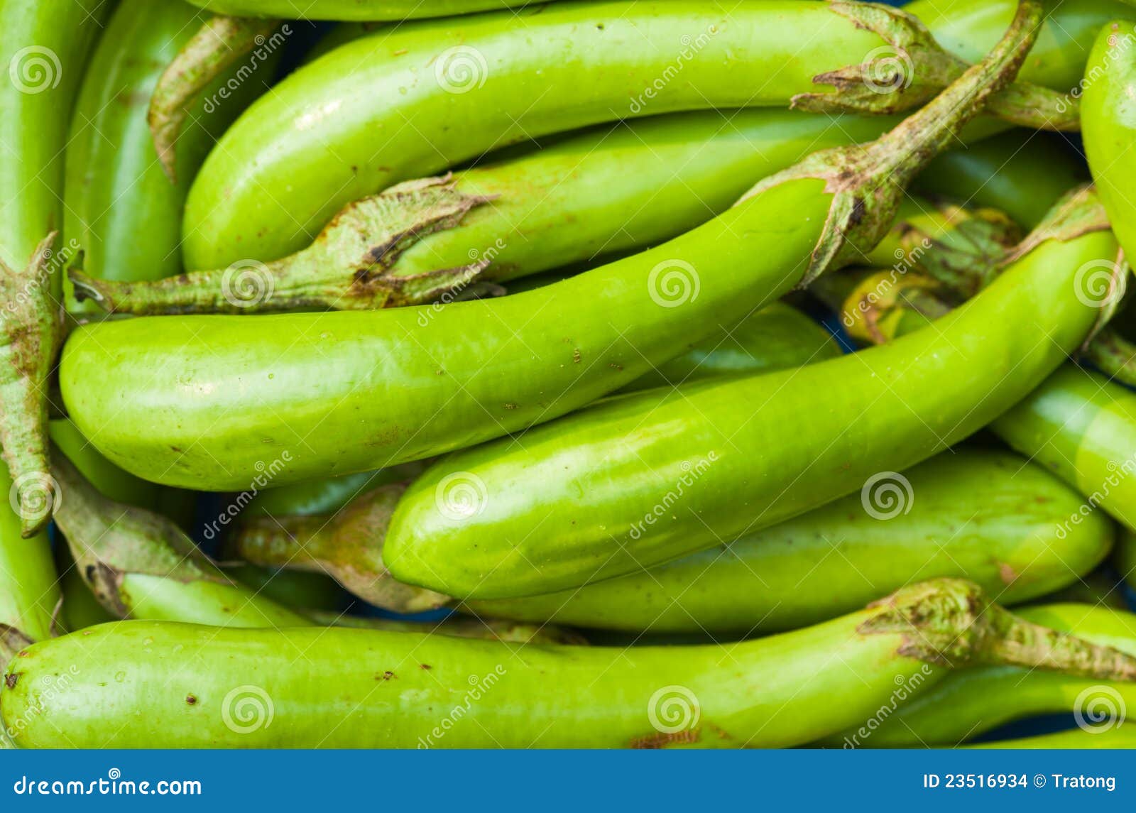 Beringela foto de stock. Imagem de dieta, produto, tailândia - 23516934
