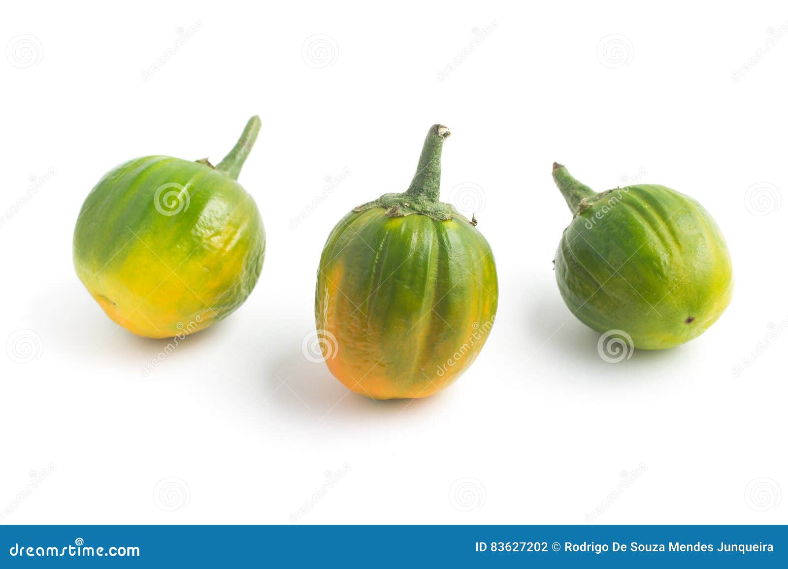 Beringela Africana Brasileiro Jilo Foto de Stock - Imagem de fresco ...