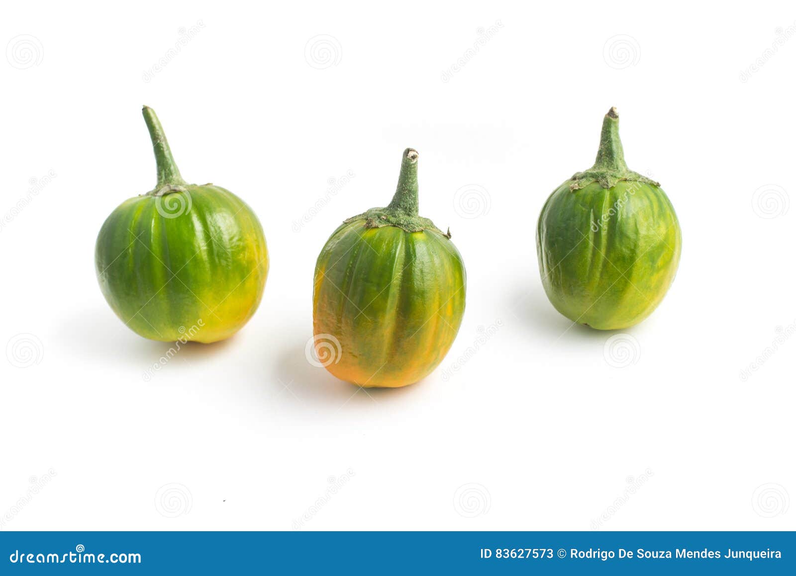 Beringela Africana Brasileiro Jilo Imagem de Stock - Imagem de branco ...