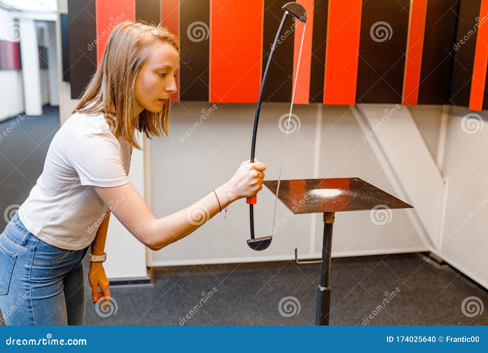 Women Students Making Experimental Work in the Field of Mechanics and ...