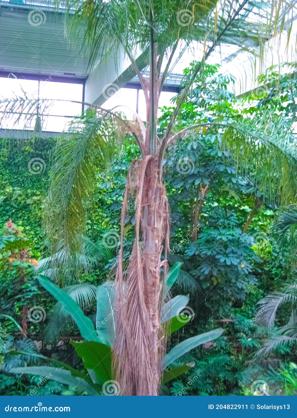 Biosphere Potsdam at Berlin Stock Image - Image of head, fish: 204822911