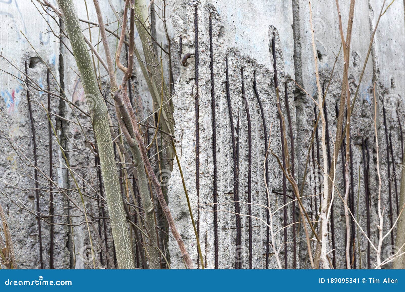 Berlin Wall Concrete Stack with Steel Bars Exposed Stock Image - Image ...