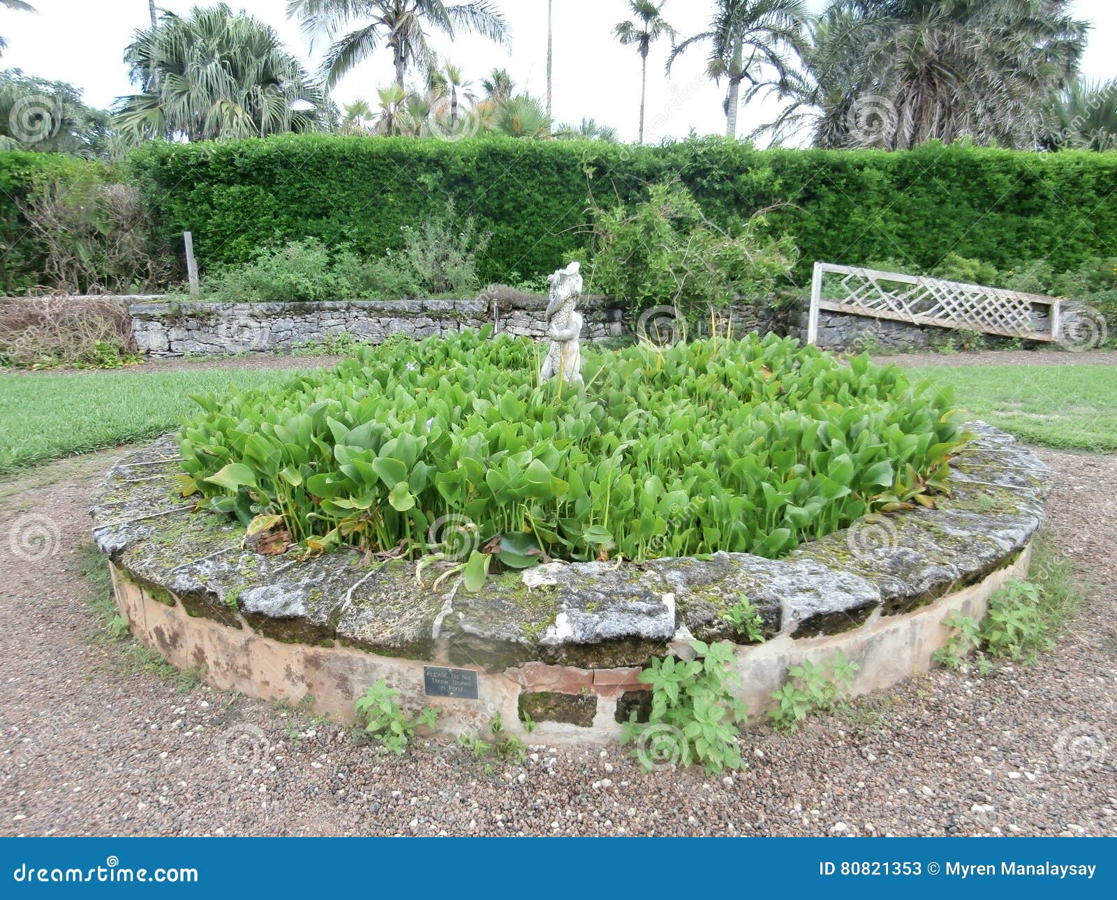 Bermuda Botanic Gardens stock image. Image of travel - 80821353