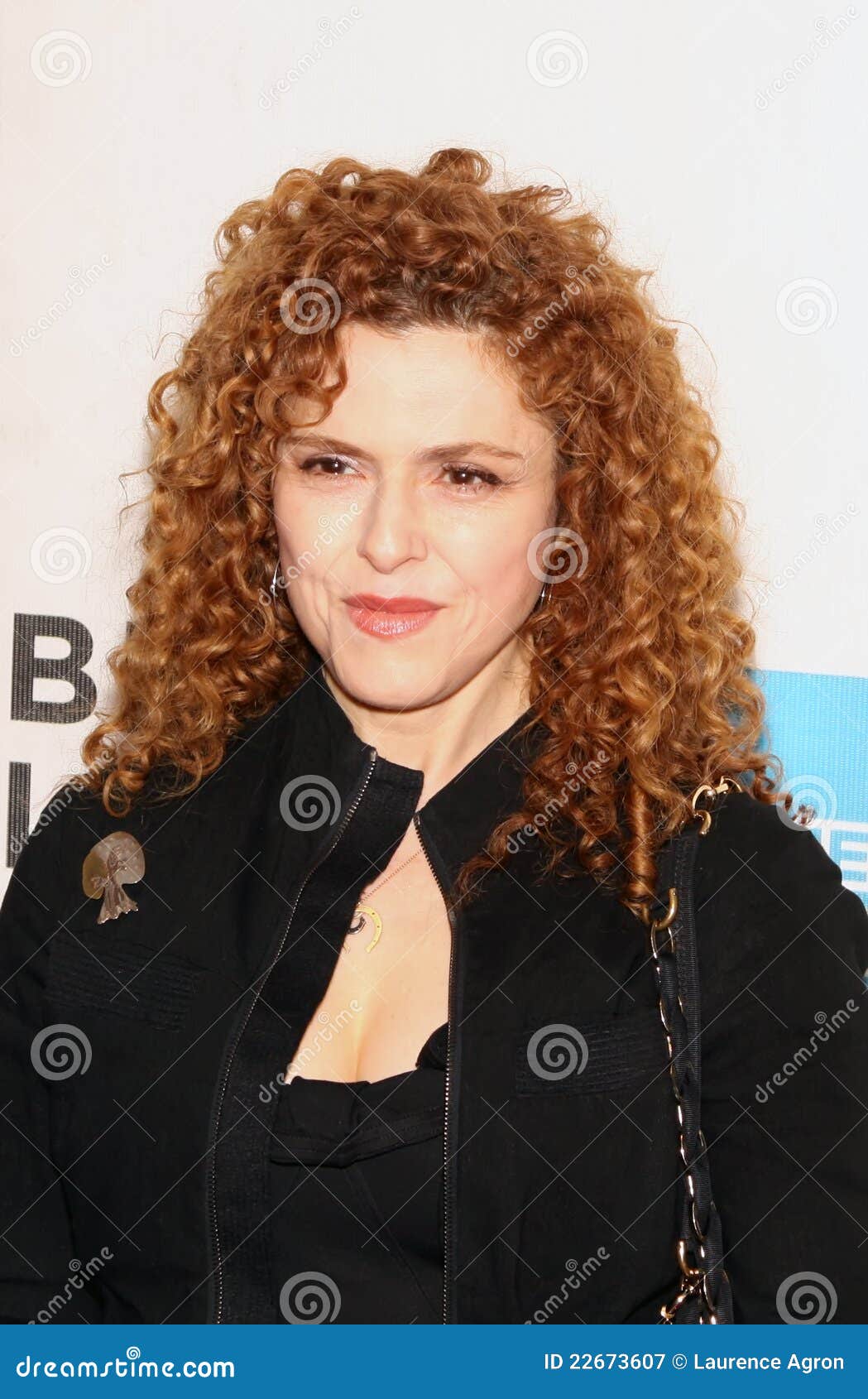 Bernadette Peters editorial photography. Image of peters - 22673607