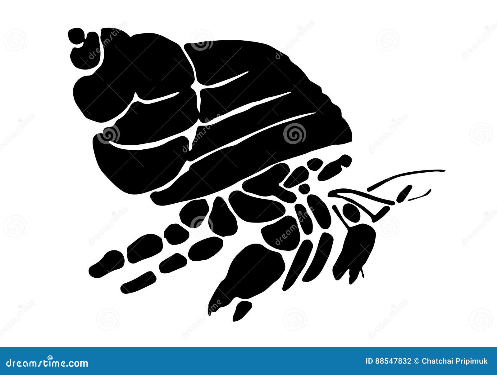 Bernard L'ermite Graphique, Vecteur Illustration de Vecteur ...