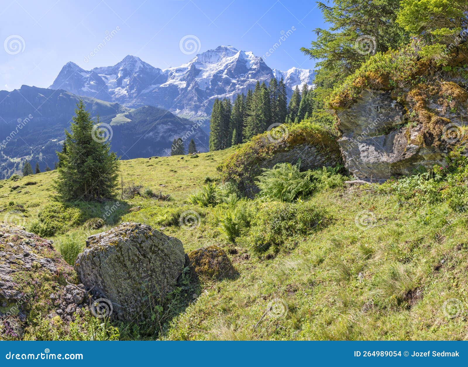 The Bernese Alps with the Jungfrau, Monch and Eiger Peaks Over the Alps ...