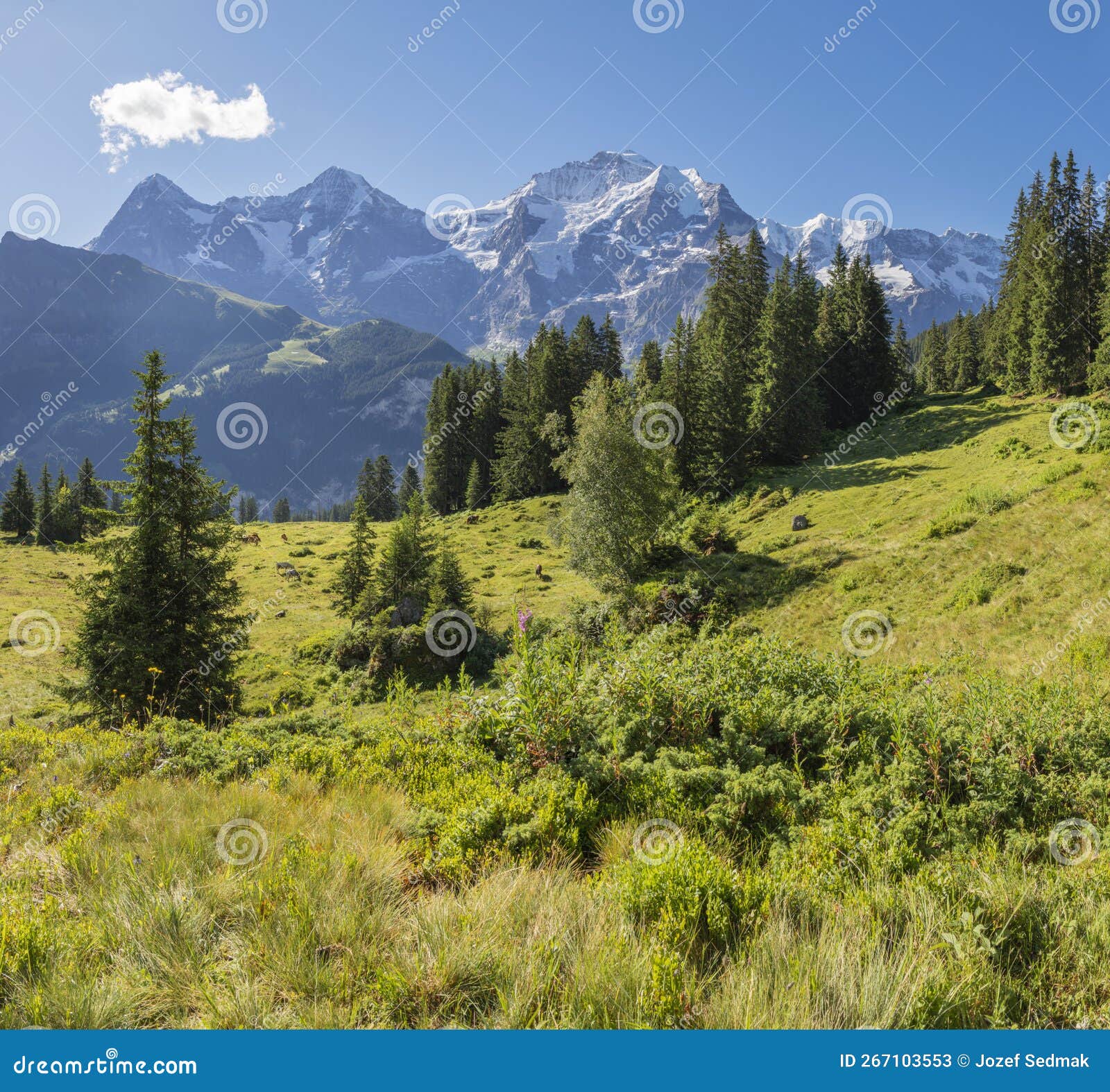 The Bernese Alps with the Jungfrau, Monch and Eiger Peaks Over the Alps ...