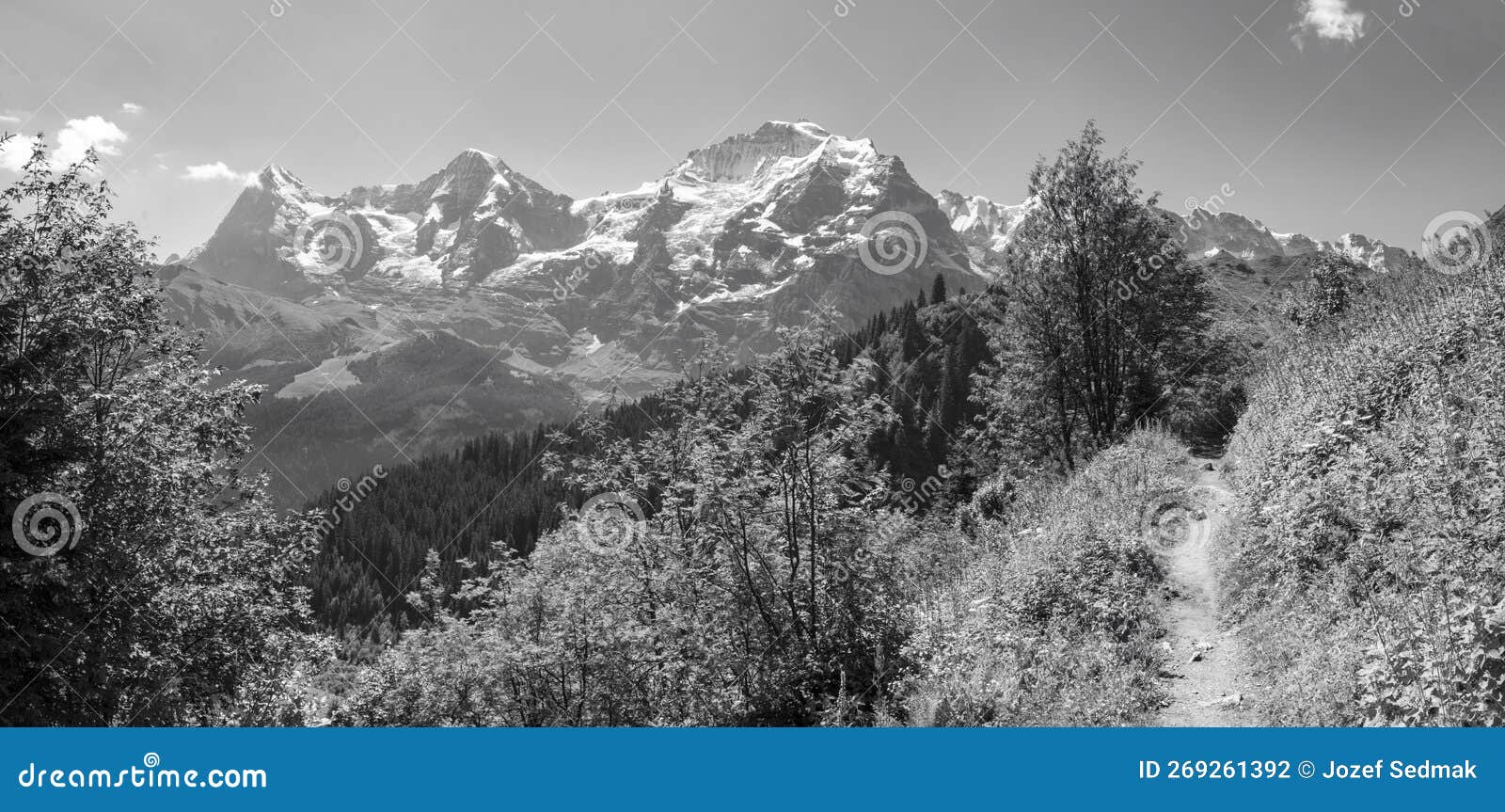 The Bernese Alps with the Jungfrau, Monch and Eiger Peaks Over the Alps ...