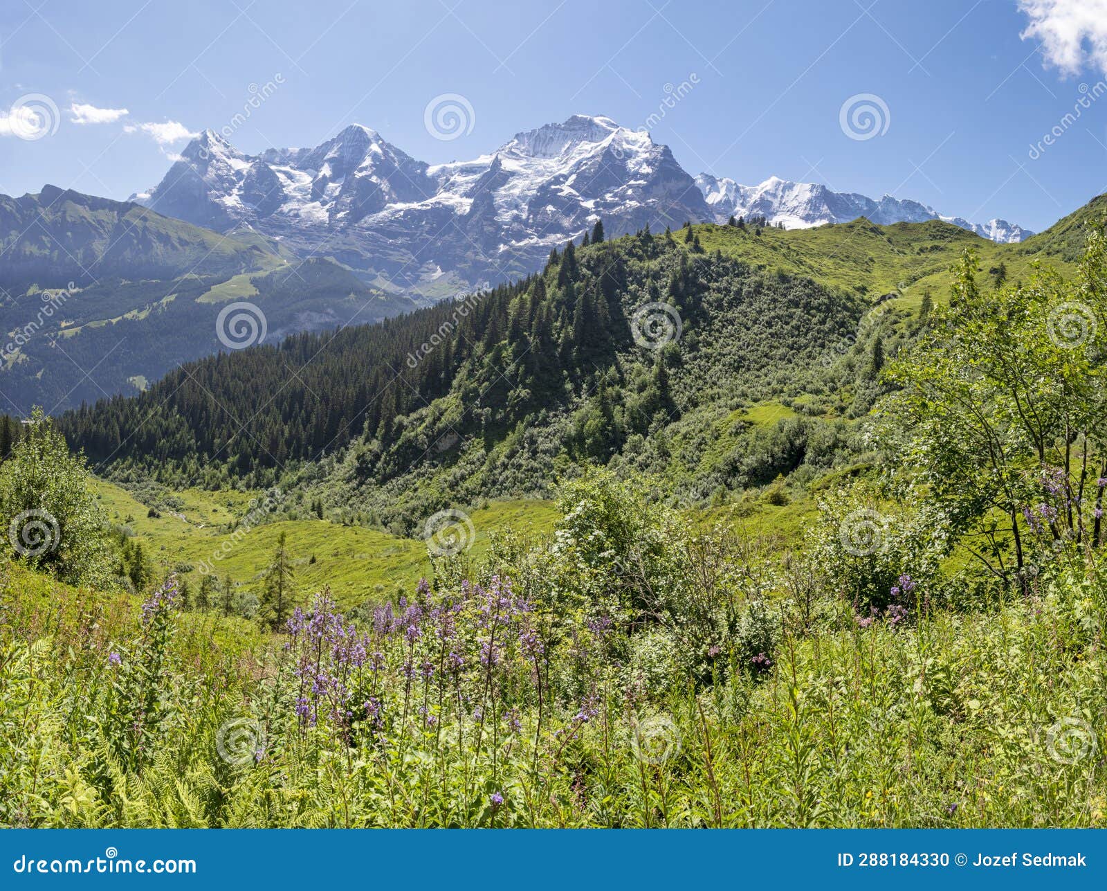 The Bernese Alps with the Jungfrau, Monch and Eiger Peaks Over the Alps ...