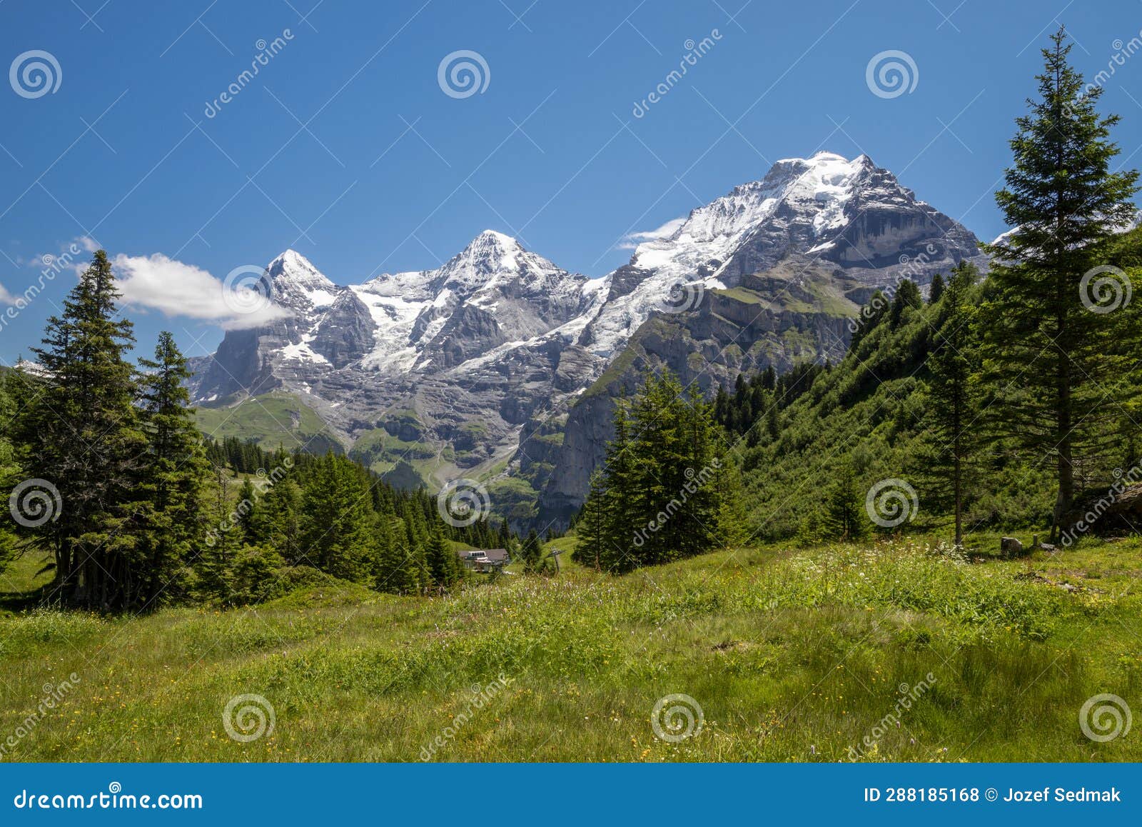 The Bernese Alps with the Jungfrau, Monch and Eiger Peaks Over the Alps ...