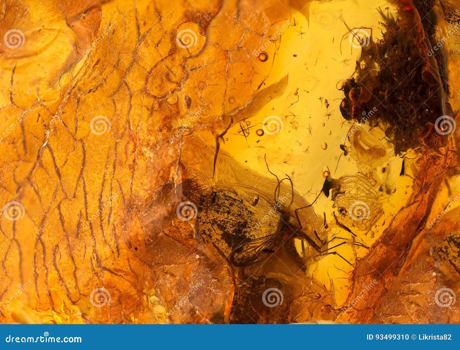 Bernsteinfarbige Steinbeschaffenheit Stockfoto - Bild von fossil, nave ...