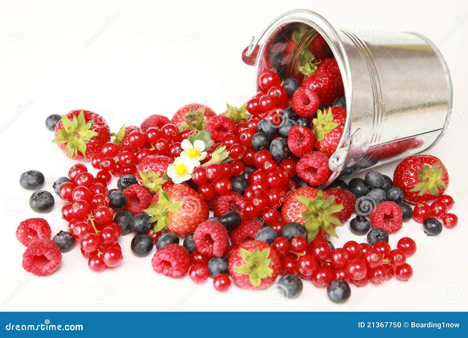 Berries stock photo. Image of flower, bilberries, raspberries - 21367750