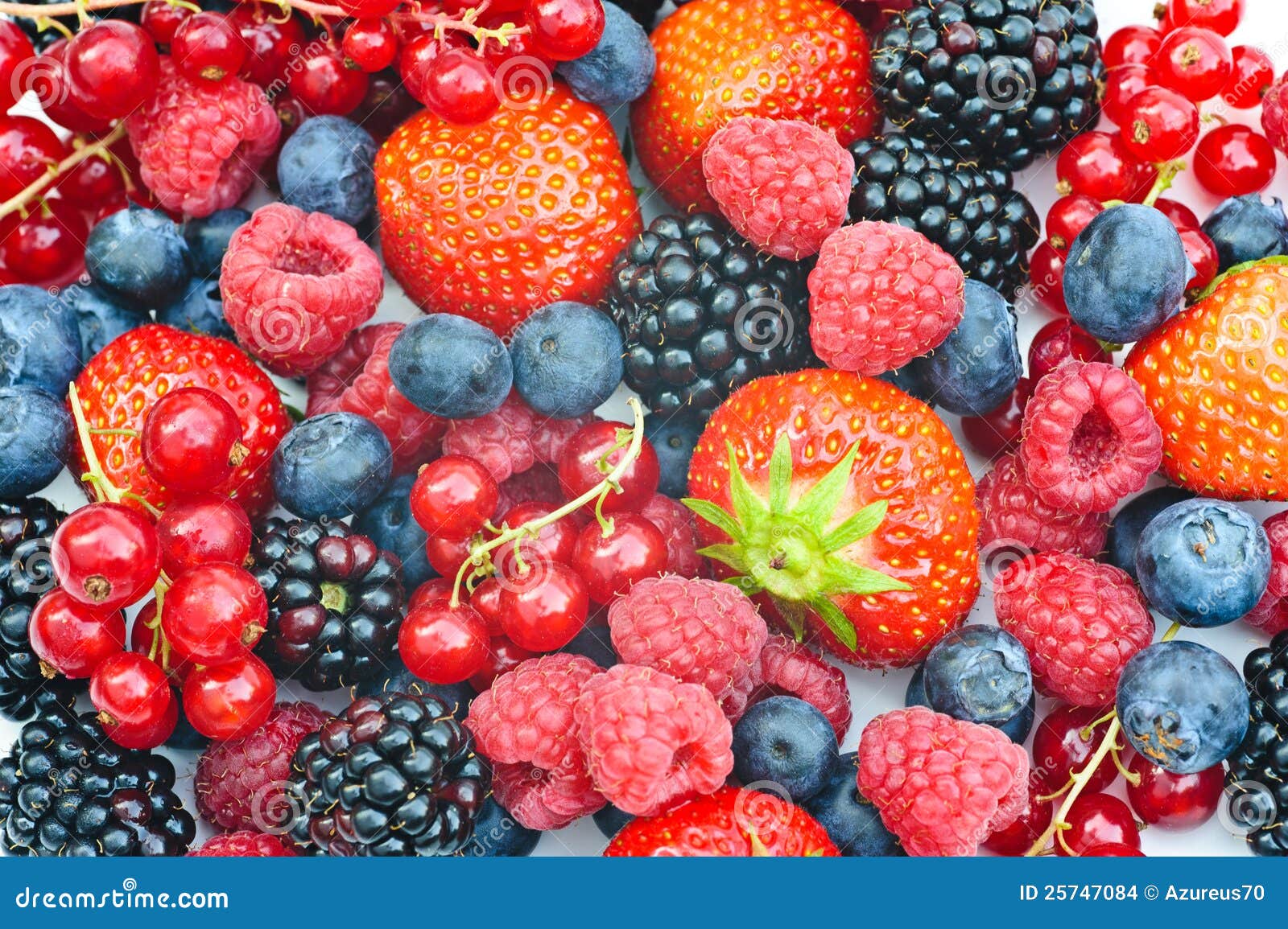 Berries stock photo. Image of bilberries, blackberry - 25747084