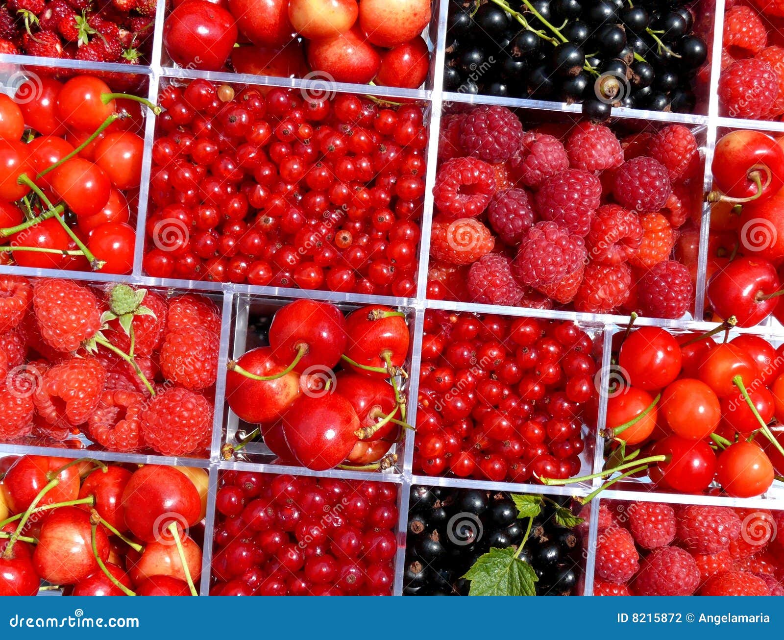 Berries stock photo. Image of raspberry, summer, glass - 8215872