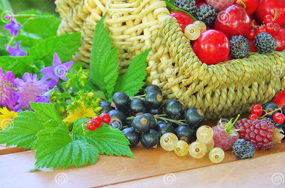 Berries in basket stock photo. Image of summer, currant - 25524912