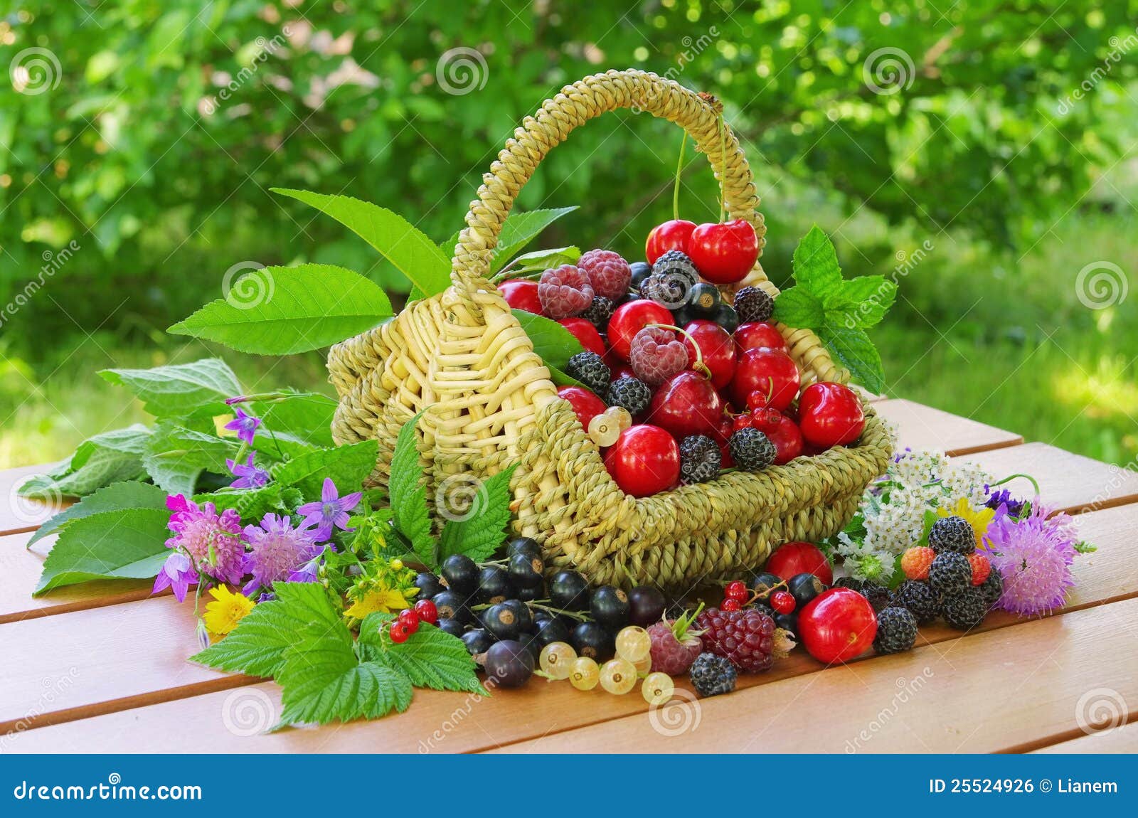 Berries in basket stock photo. Image of food, cherries - 25524926